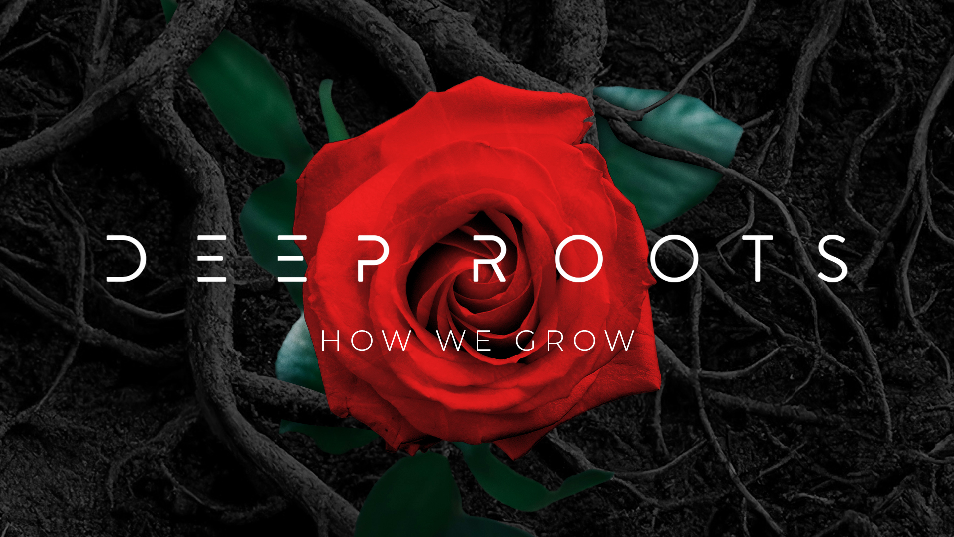 Deep Roots | Coastal Community Church | Coastal Community Church